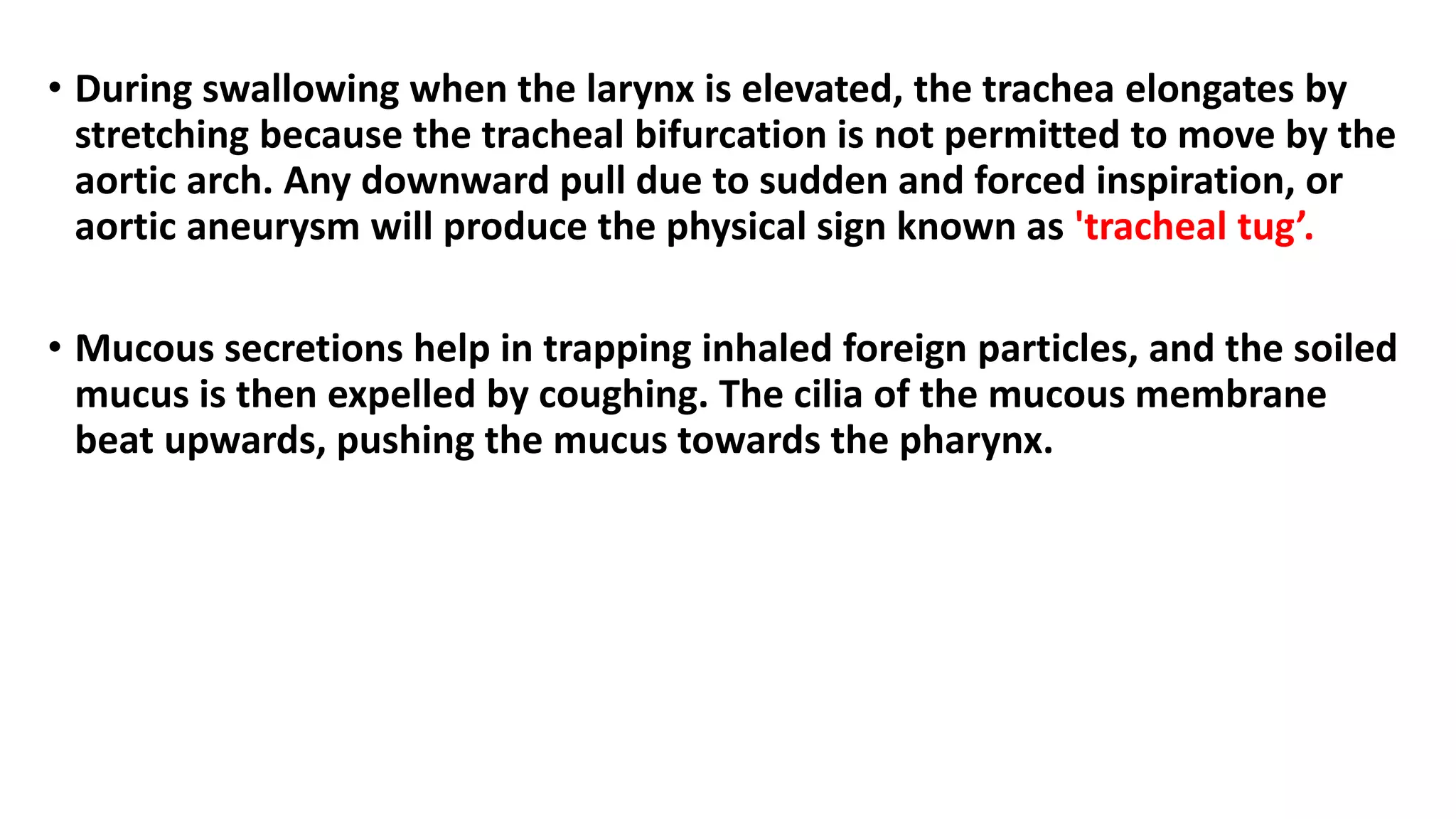 ANATOMY OF TRACHEA, BRONCHI & PLEURA.pptx
