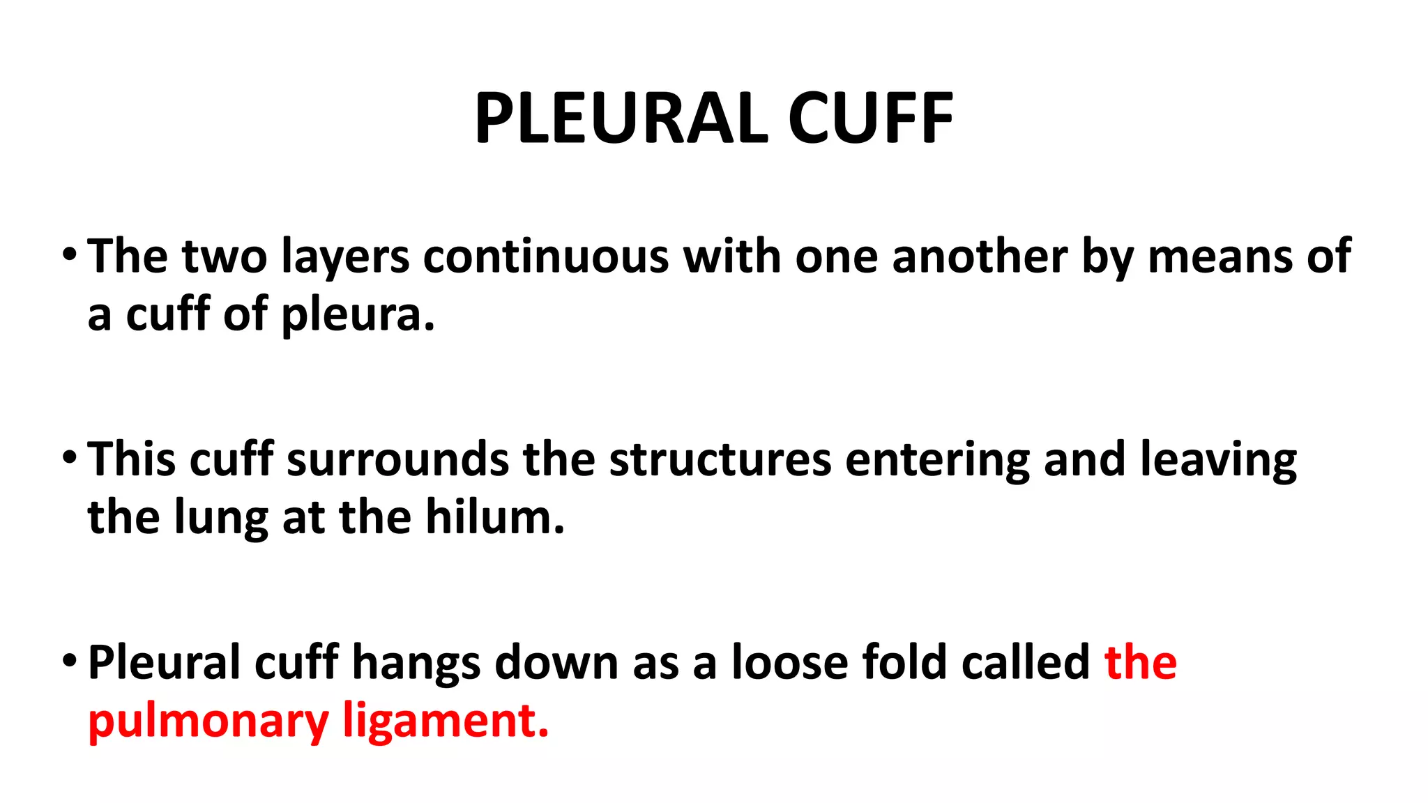ANATOMY OF TRACHEA, BRONCHI & PLEURA.pptx