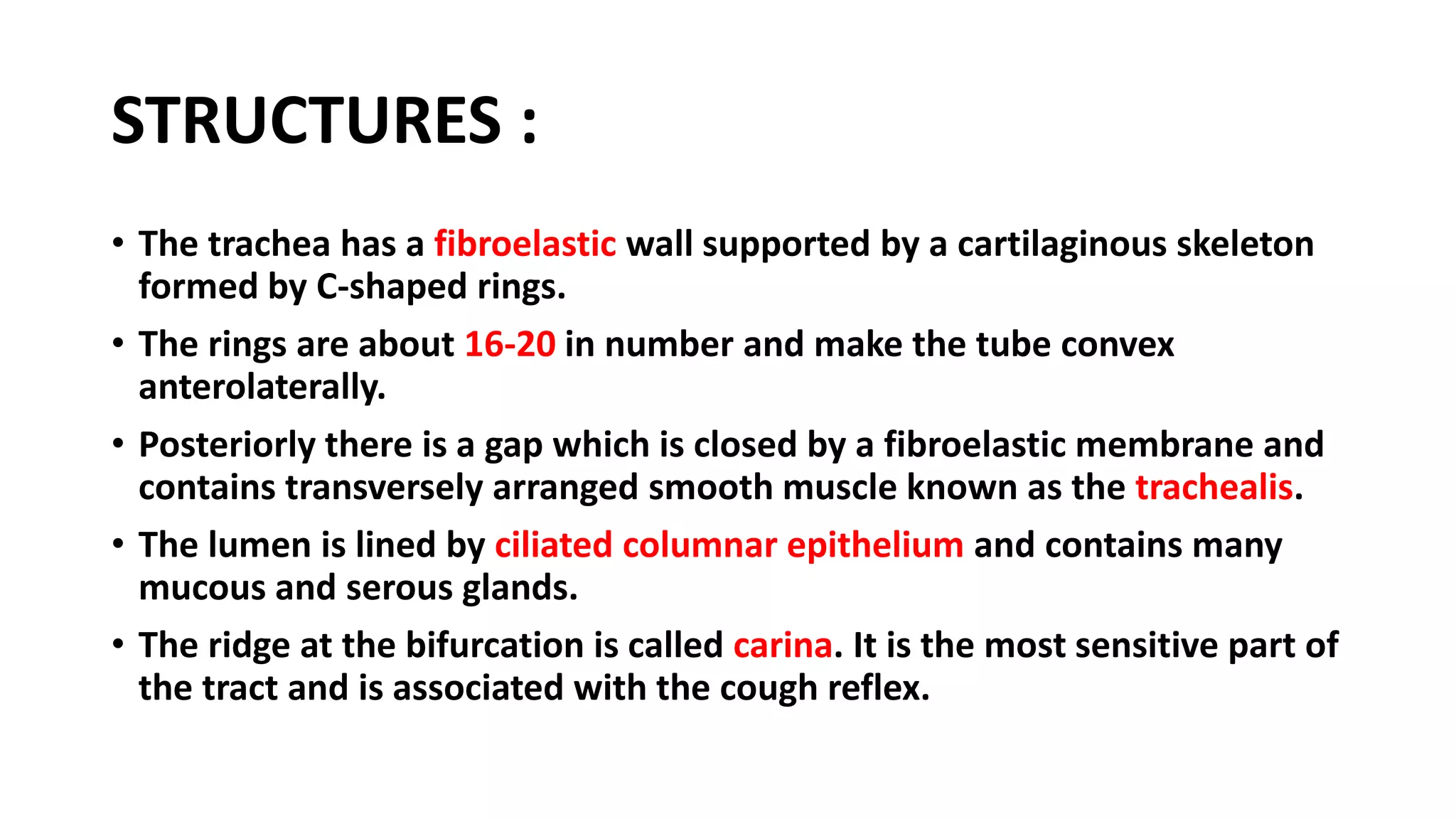 ANATOMY OF TRACHEA, BRONCHI & PLEURA.pptx