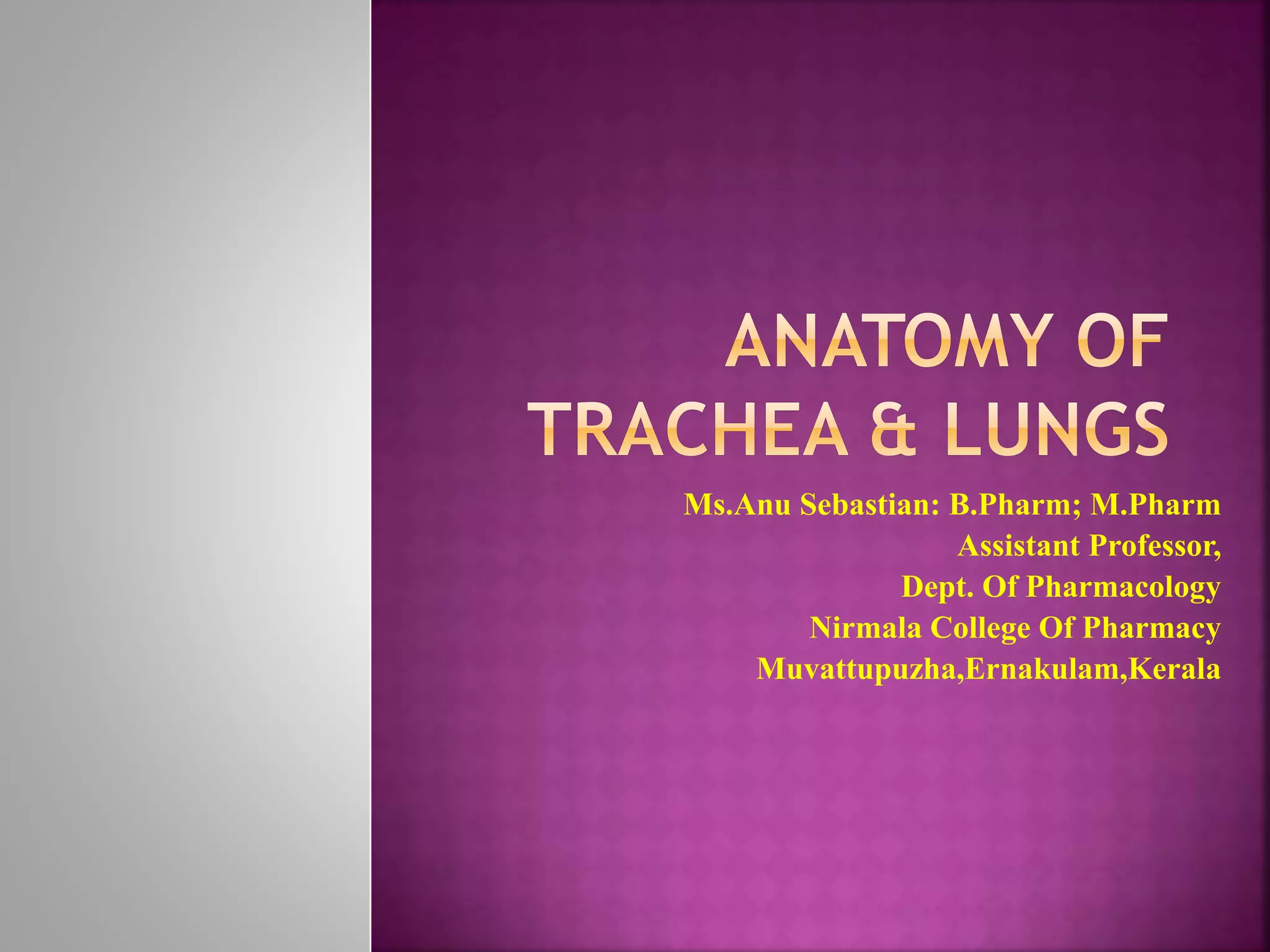 Anatomy of trachea & lungs | PPT