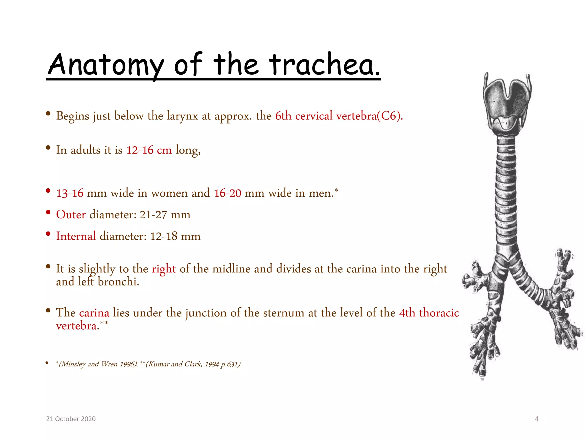 Anatomy of trachea & tracheostomy ----- | PPT