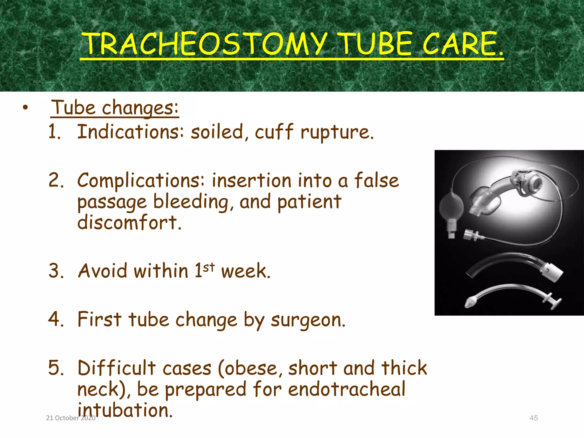Anatomy of trachea & tracheostomy ----- | PPT