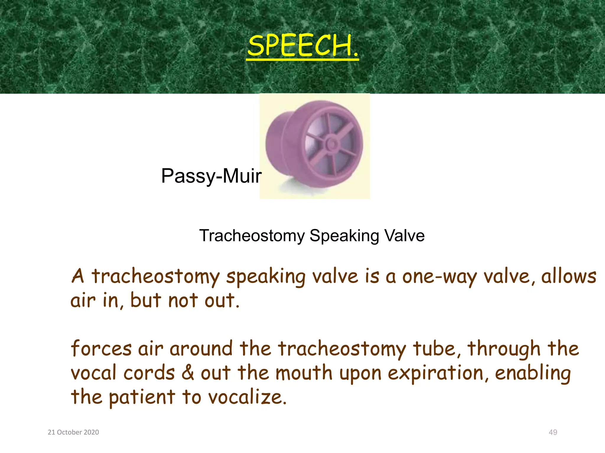 Anatomy of trachea & tracheostomy ----- | PPT