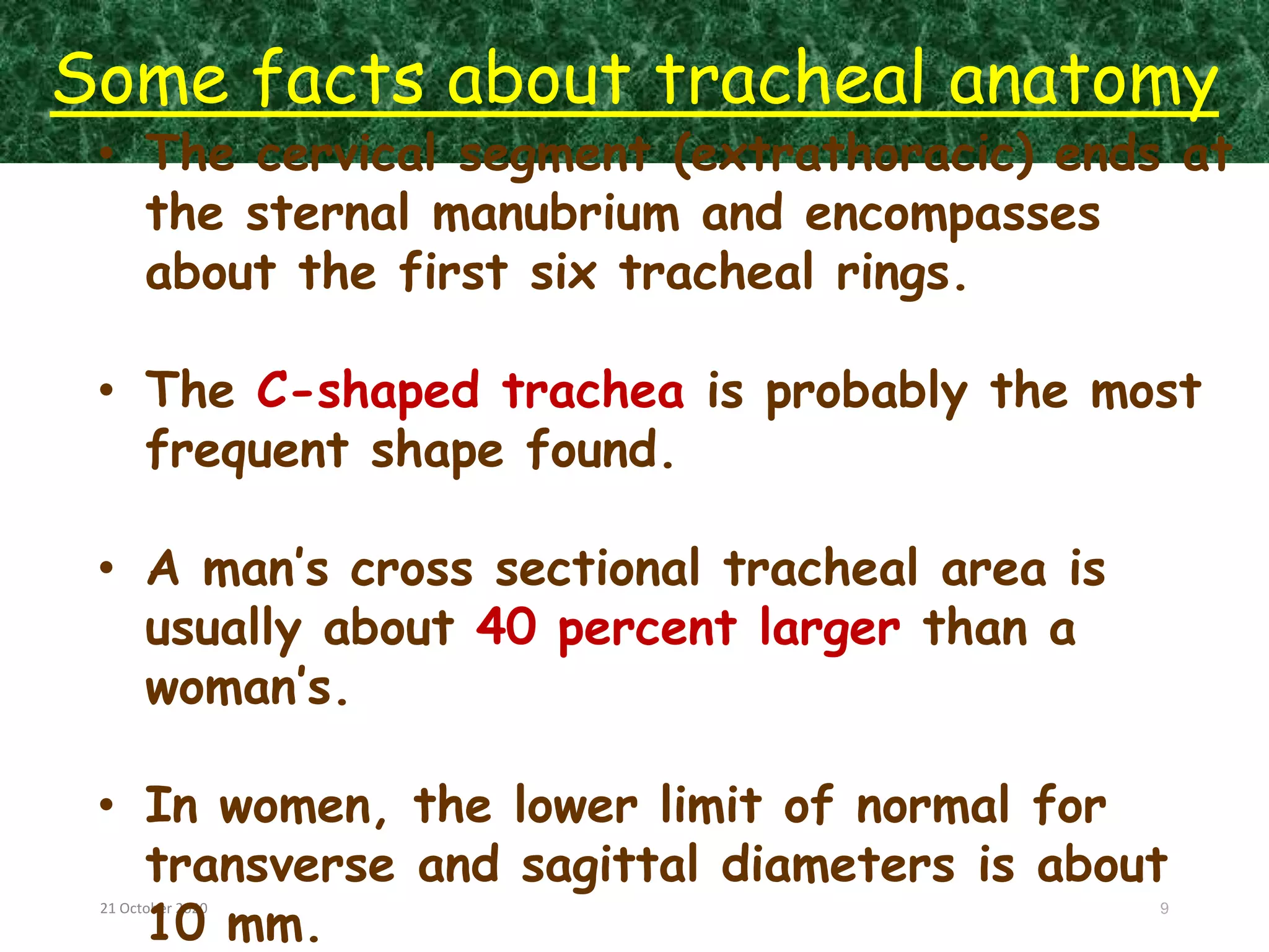 Anatomy of trachea & tracheostomy ----- | PPT