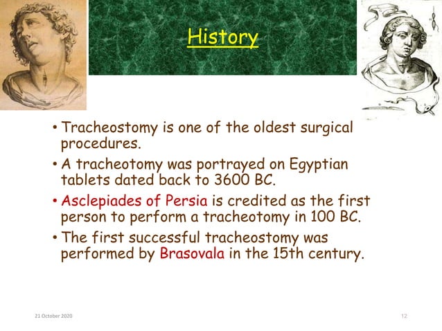 Anatomy of trachea & tracheostomy ----- | PPT | Lung and Respiratory ...