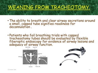 Anatomy of trachea & tracheostomy ----- | PPT | Lung and Respiratory ...