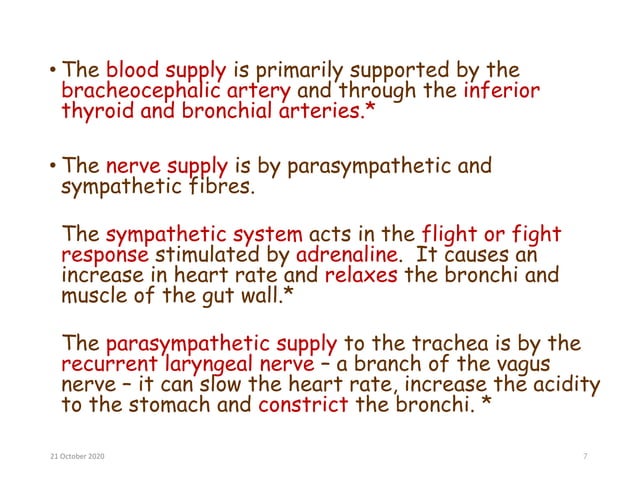 Anatomy of trachea & tracheostomy ----- | PPT | Lung and Respiratory ...