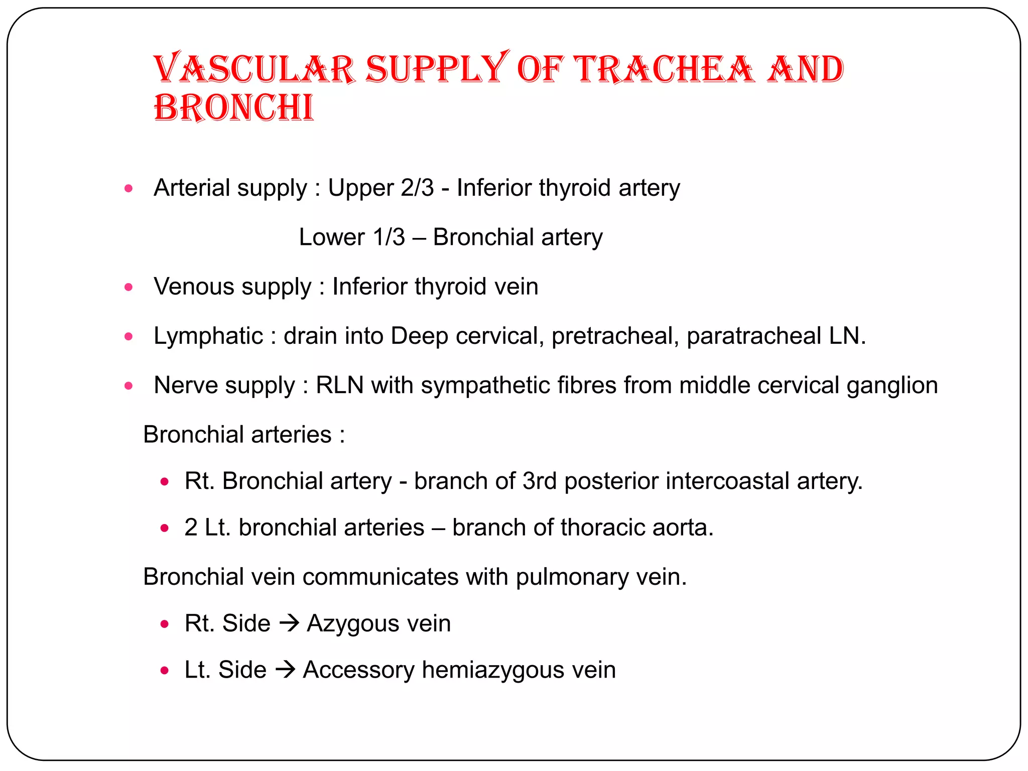Anatomy of tracheobronchial tree | PPTX