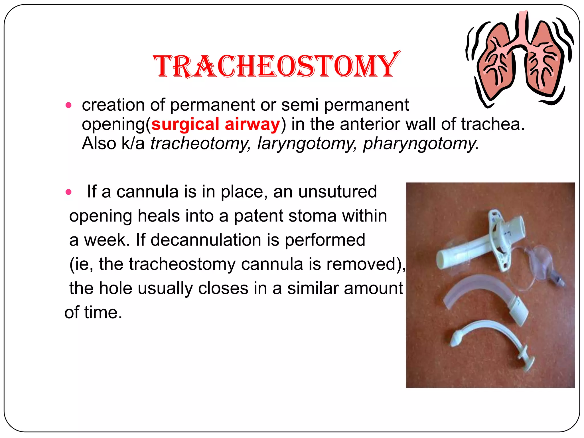Anatomy of tracheobronchial tree | PPTX