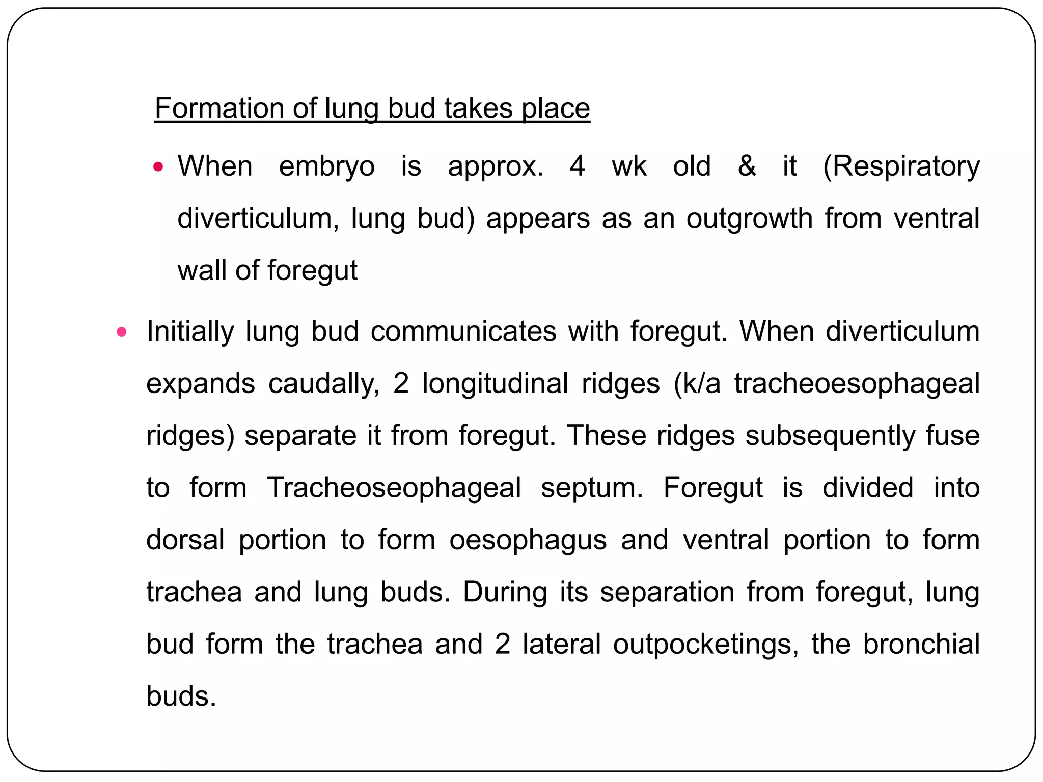 Anatomy of tracheobronchial tree | PPTX
