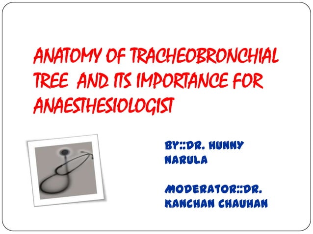 Anatomy of tracheobronchial tree | PPTX
