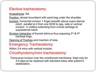 Anatomy of tracheobronchial tree | PPTX