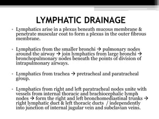 ANATOMY OF TRACHEOBRONCHIAL TREE.pptx