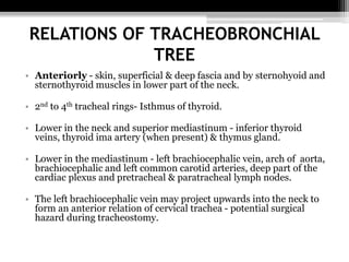 ANATOMY OF TRACHEOBRONCHIAL TREE.pptx