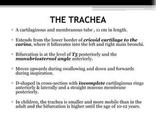 ANATOMY OF TRACHEOBRONCHIAL TREE.pptx