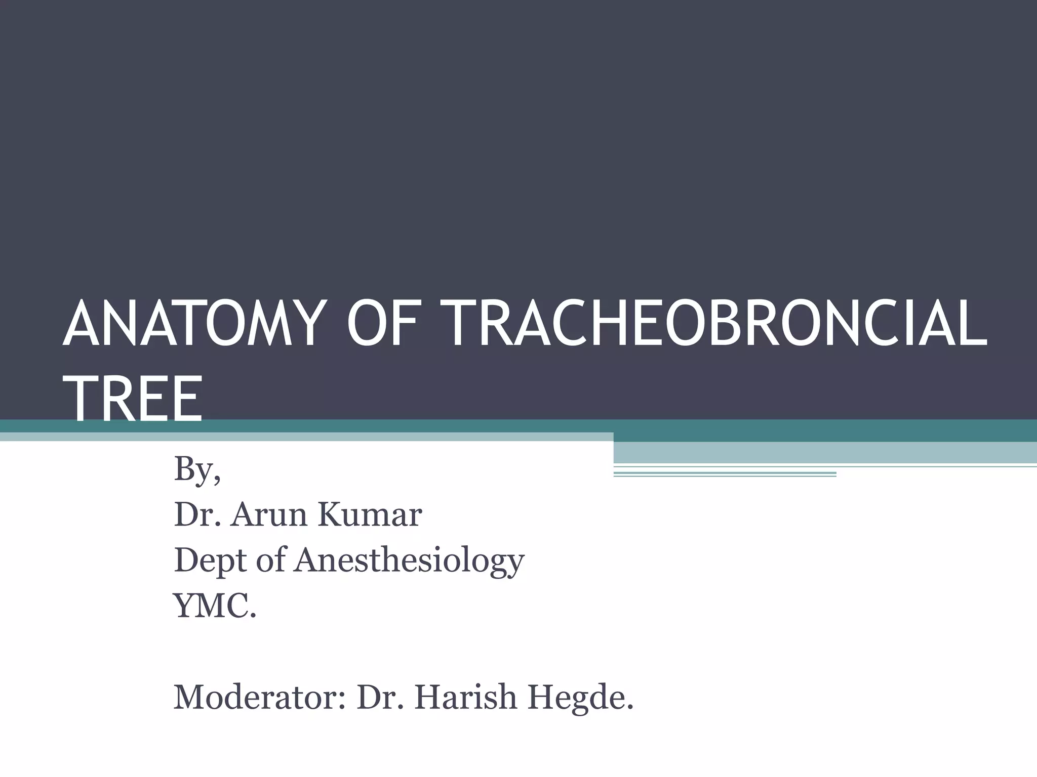 Anatomy of tracheobroncial tree | PPT