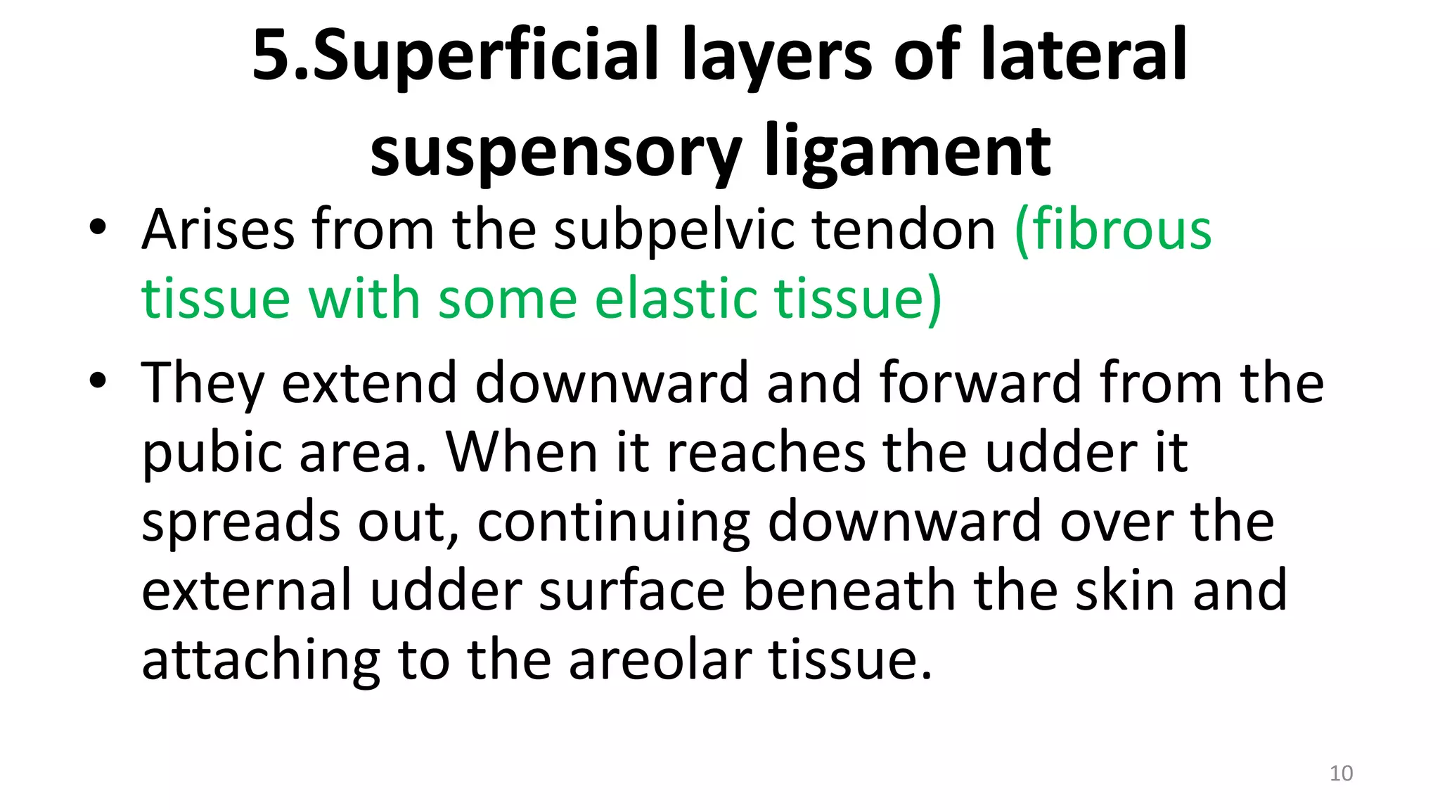 Anatomy & Affection of Udder & Teat | PPTX