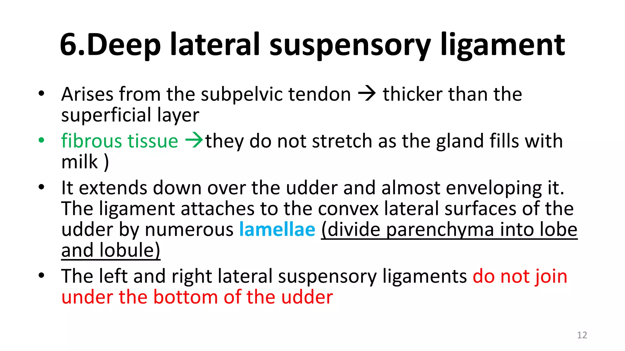 Anatomy & Affection of Udder & Teat | PPTX