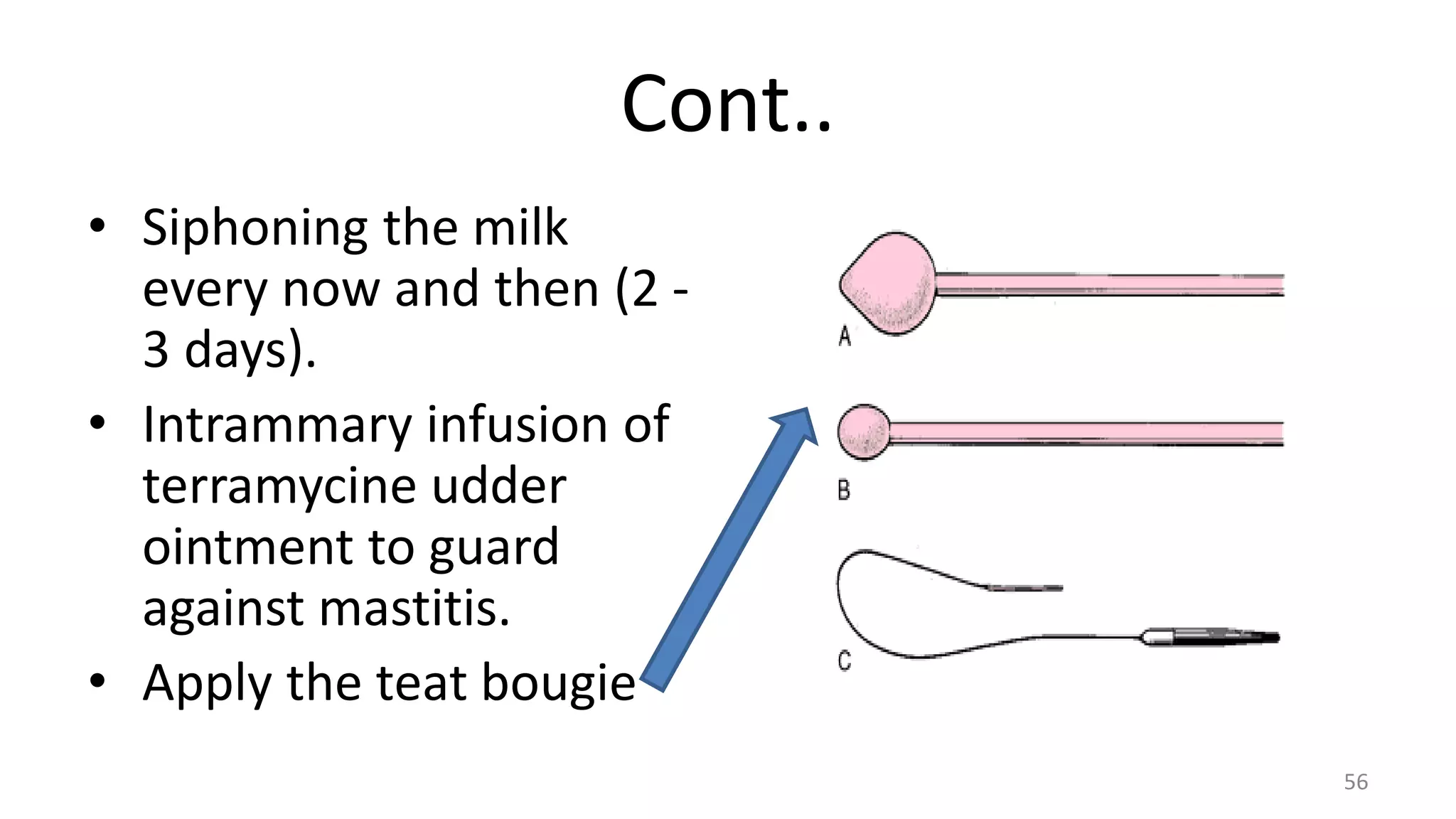 Anatomy & Affection of Udder & Teat | PPTX