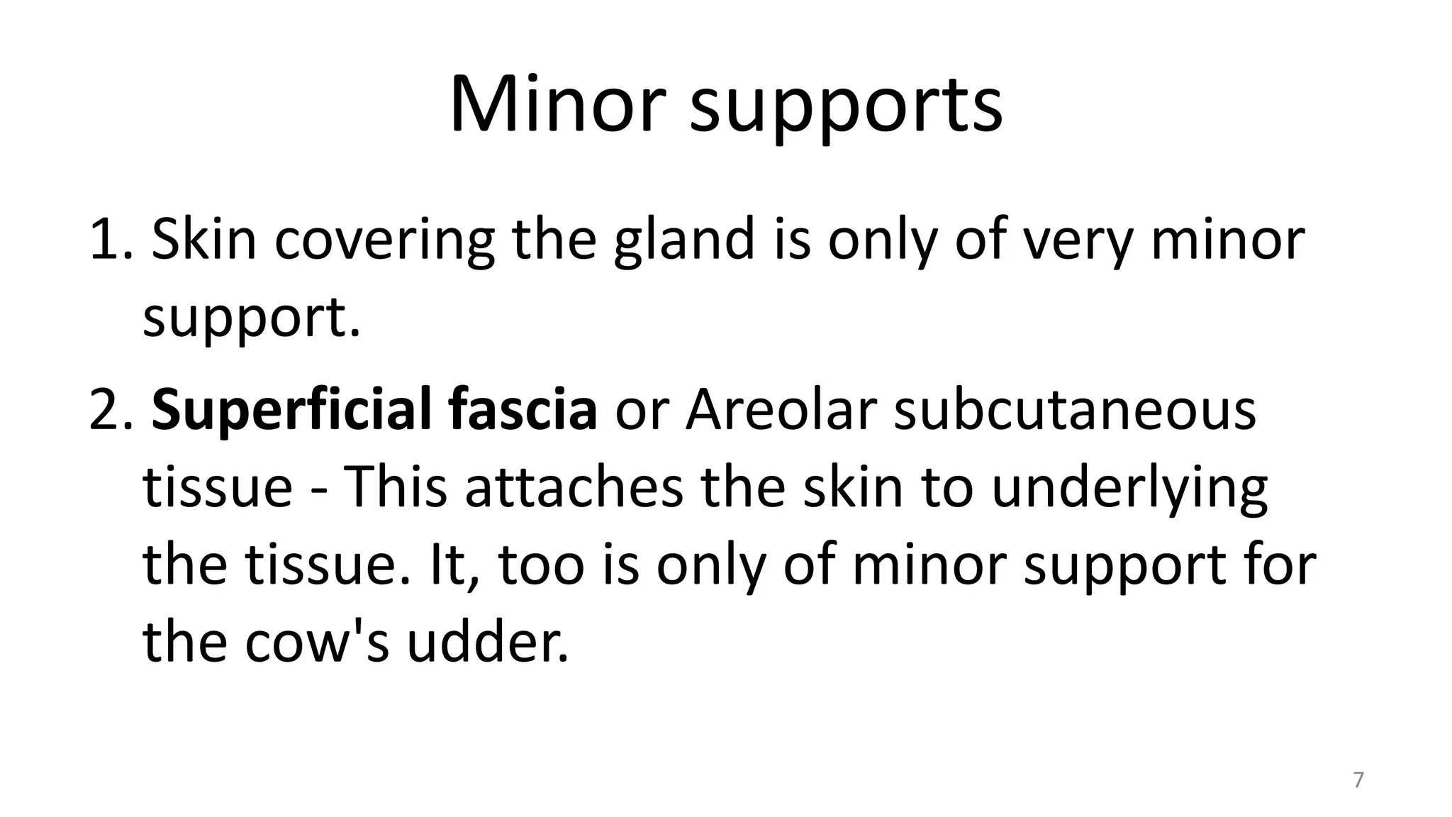 Anatomy & Affection of Udder & Teat | PPTX