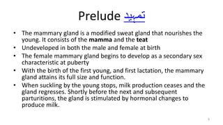 Anatomy & Affection of Udder & Teat | PPTX