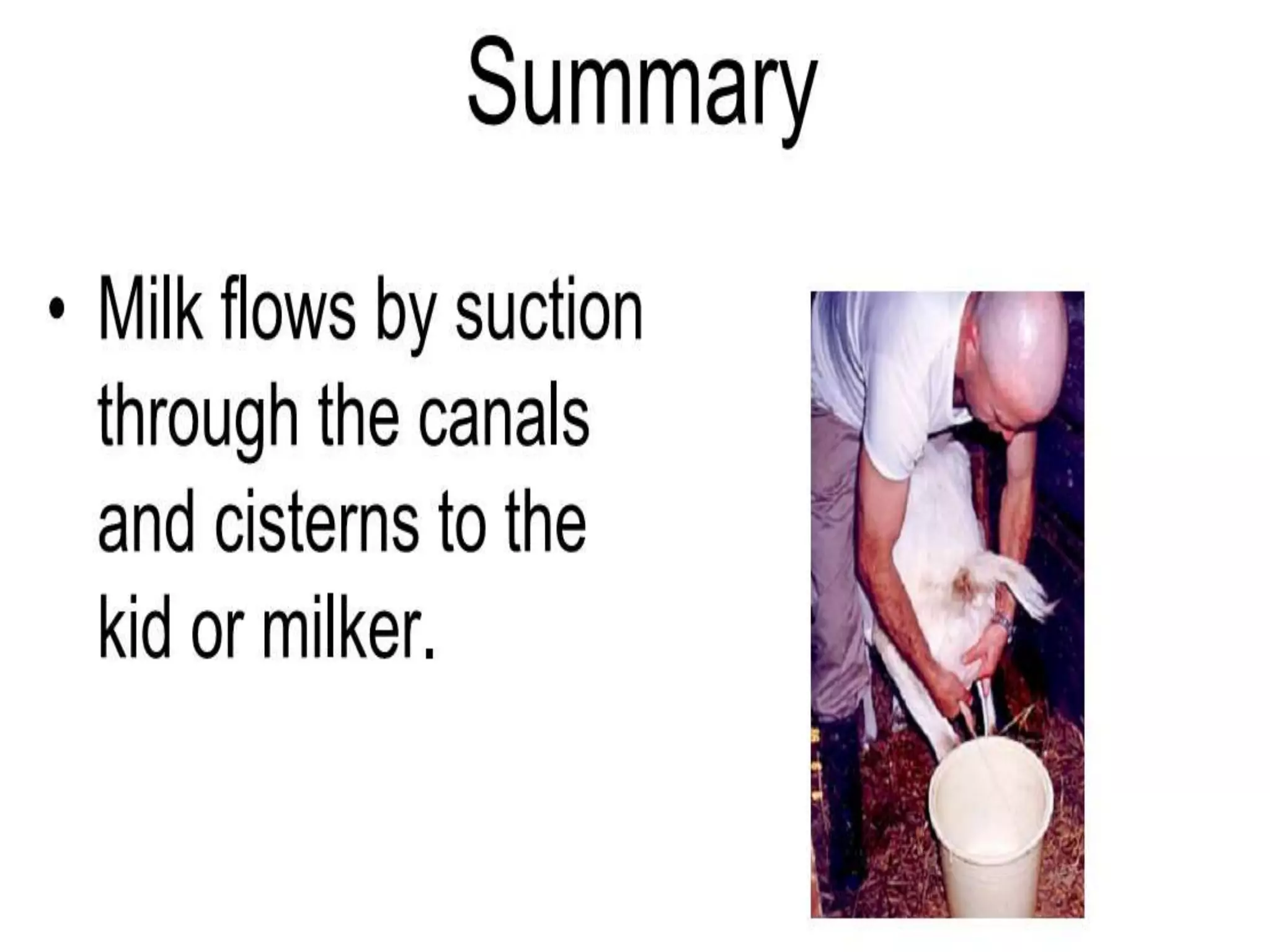 Anatomy of udder in goat | PPTX