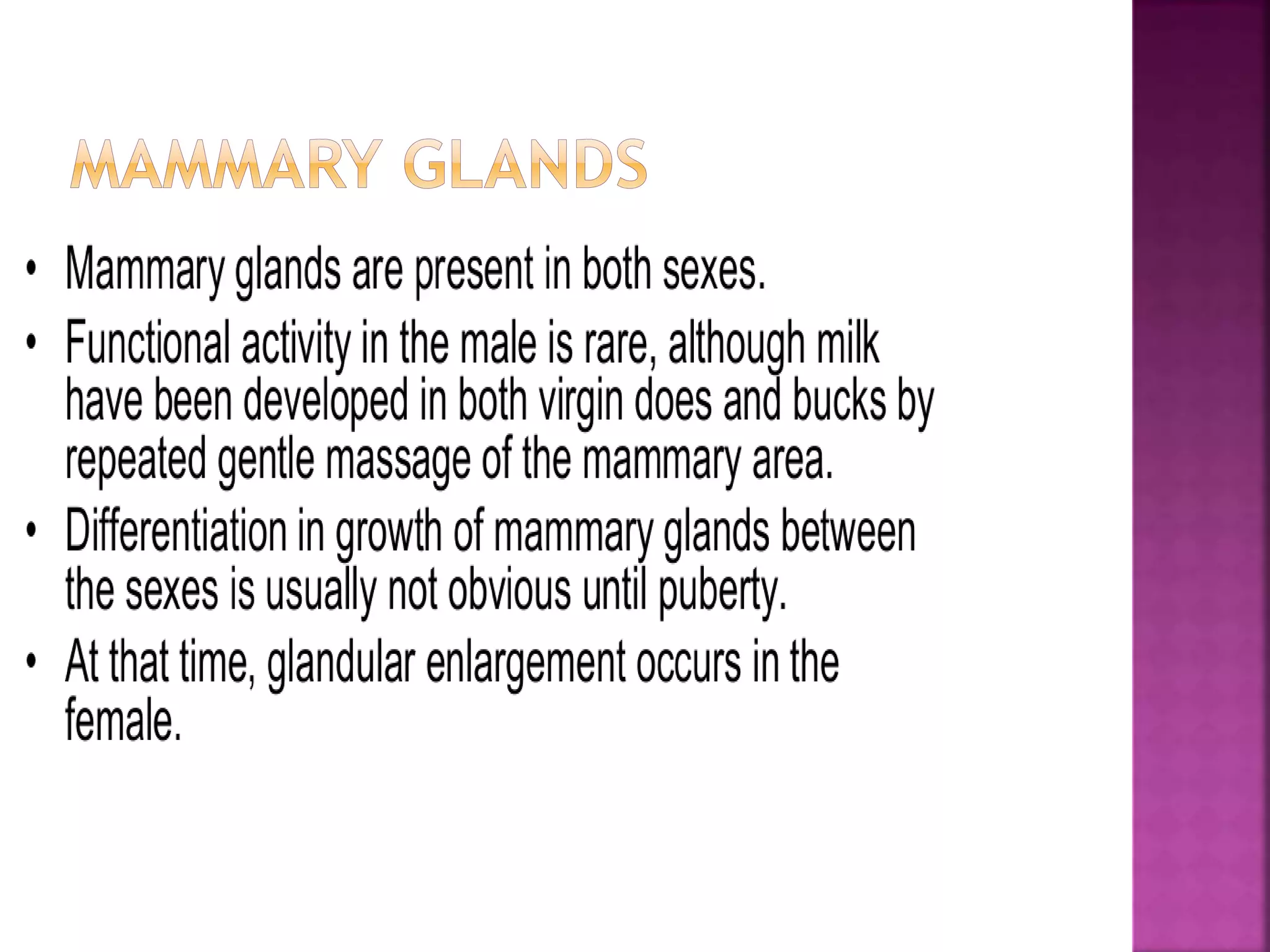 Anatomy of udder in goat | PPTX