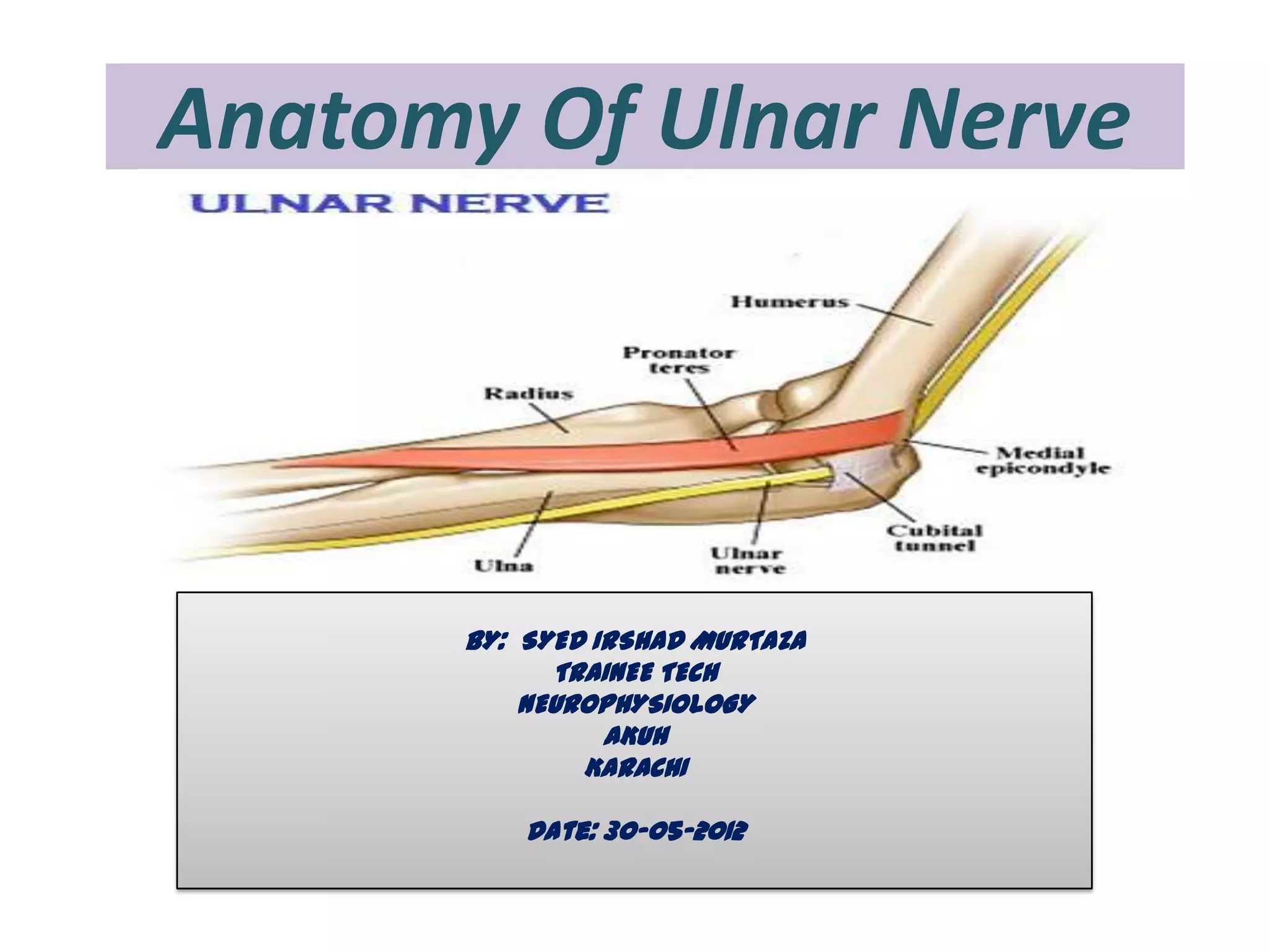 Anatomy of ulnar Nerve (Ulnar Nerve Anatomy) | PPTX