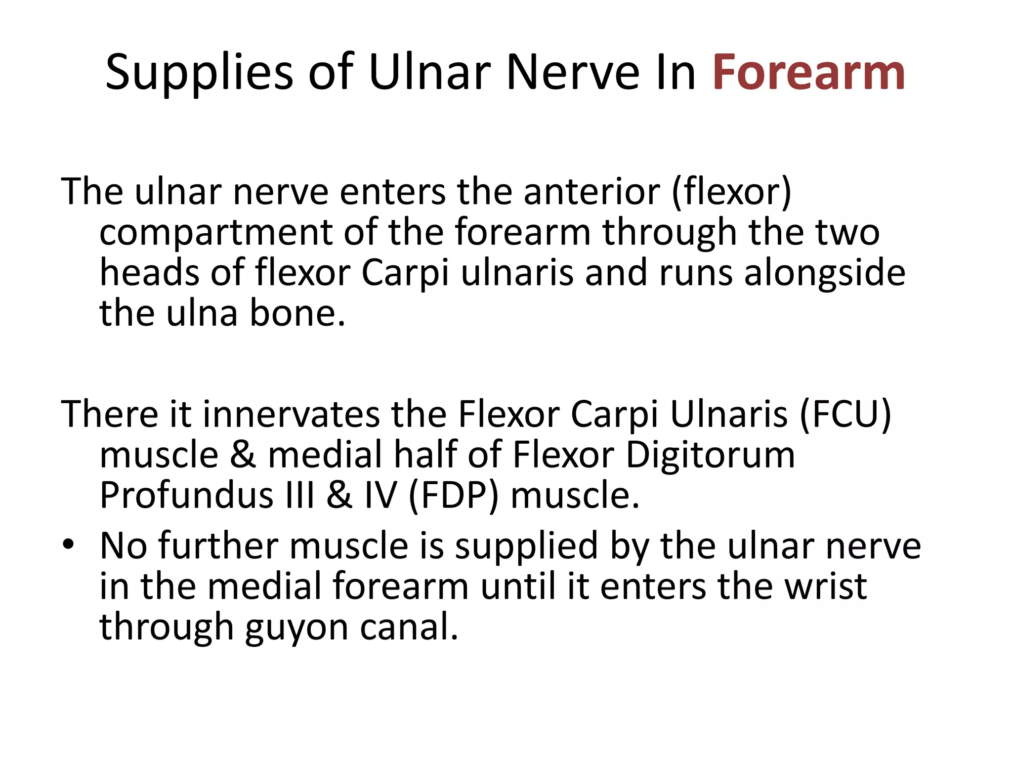 Anatomy of ulnar Nerve (Ulnar Nerve Anatomy) | PPTX