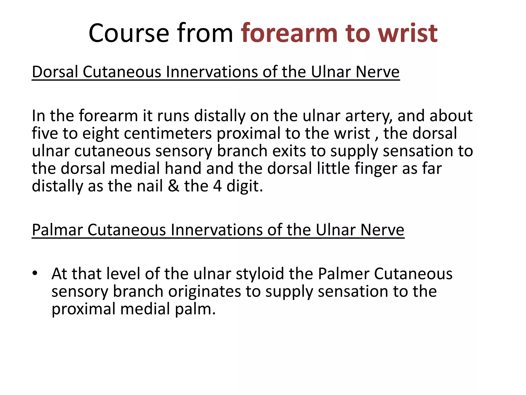 Anatomy of ulnar Nerve (Ulnar Nerve Anatomy) | PPTX