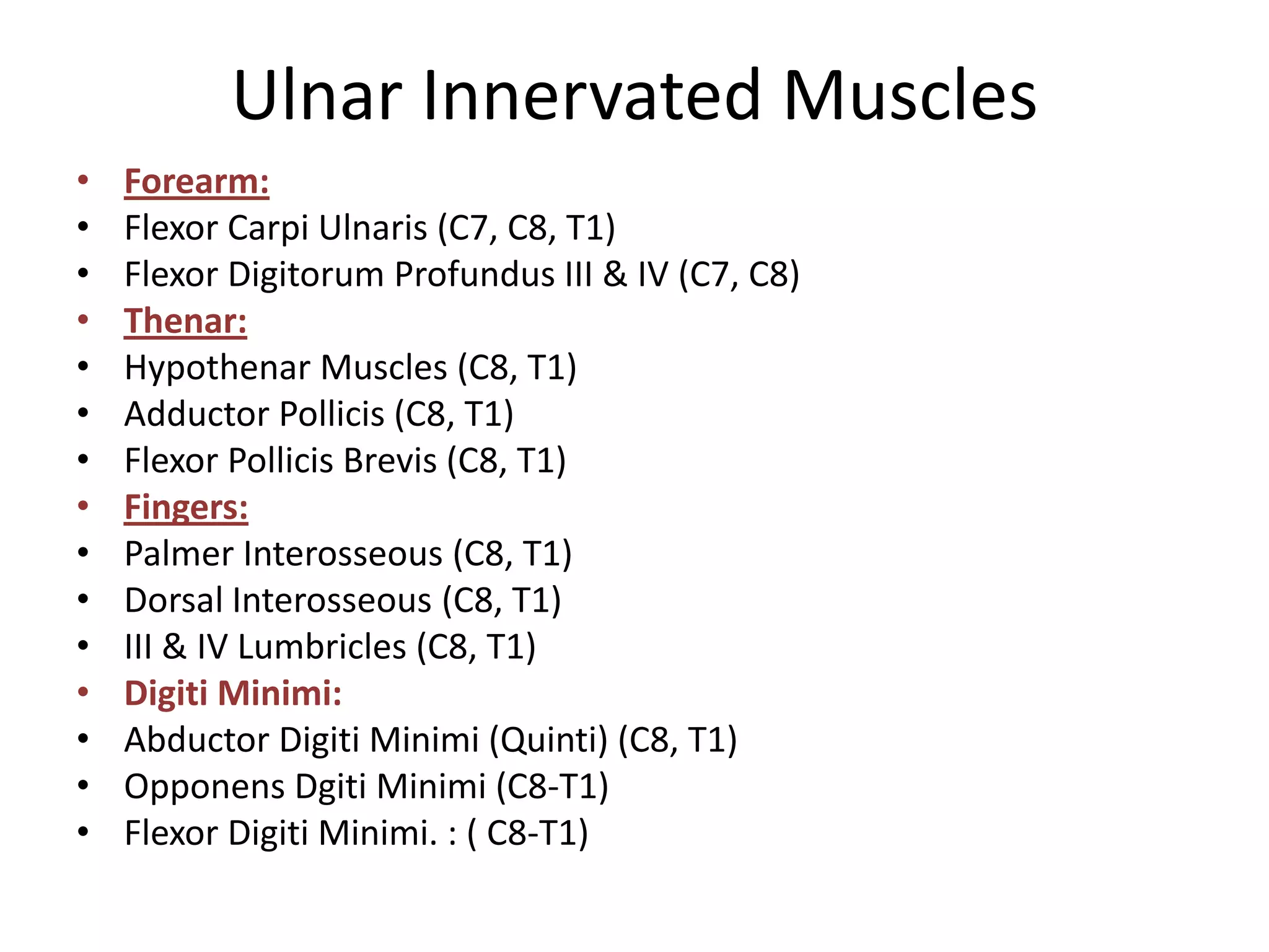 Anatomy of ulnar Nerve (Ulnar Nerve Anatomy) | PPTX
