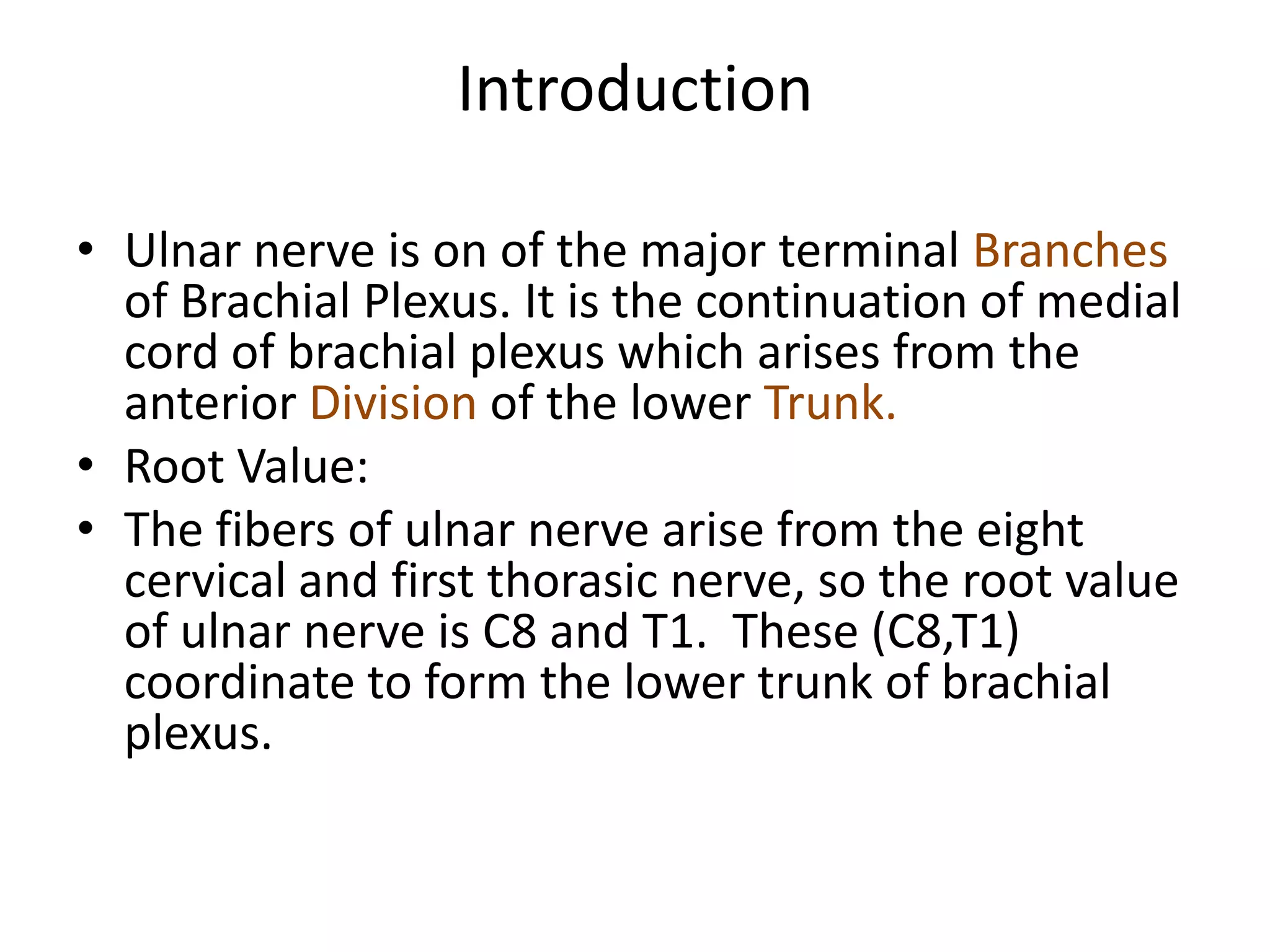Anatomy of ulnar Nerve (Ulnar Nerve Anatomy) | PPTX
