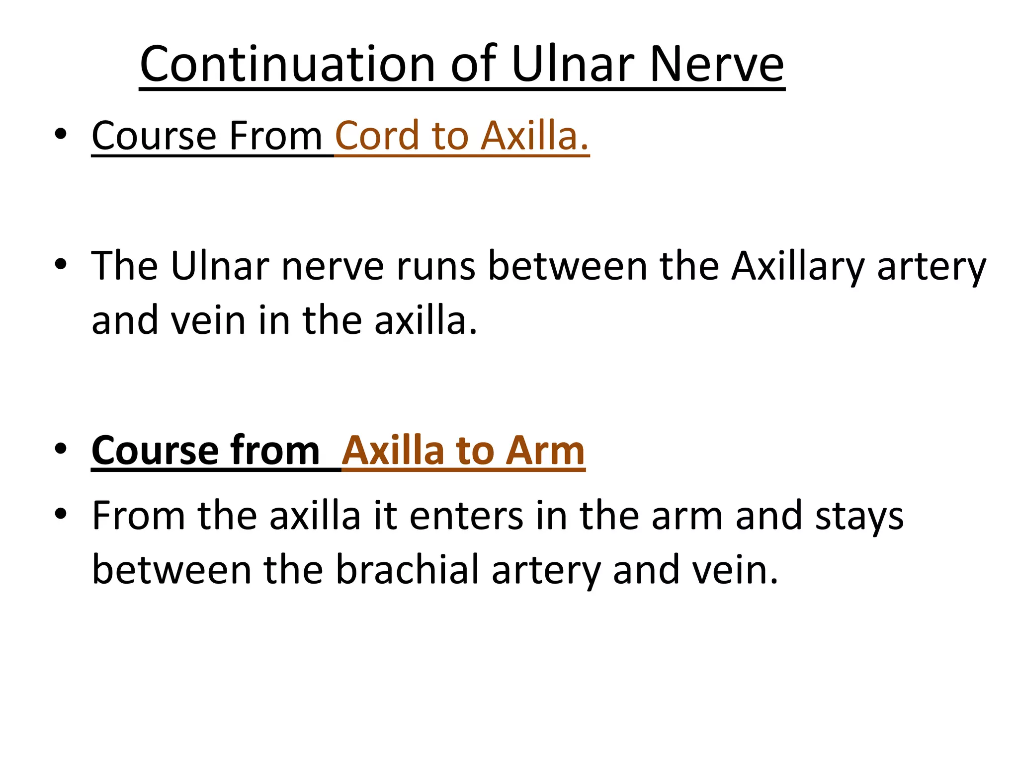 Anatomy of ulnar Nerve (Ulnar Nerve Anatomy) | PPTX