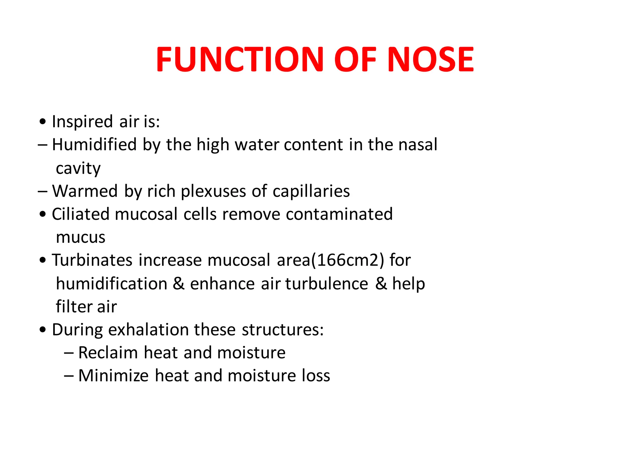 Anatomy of upper airway - a detailed description for anesthetist | PDF