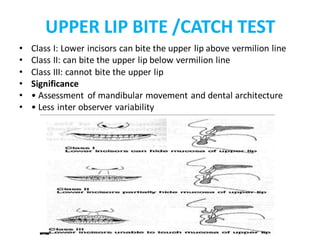Anatomy of upper airway - a detailed description for anesthetist | PDF