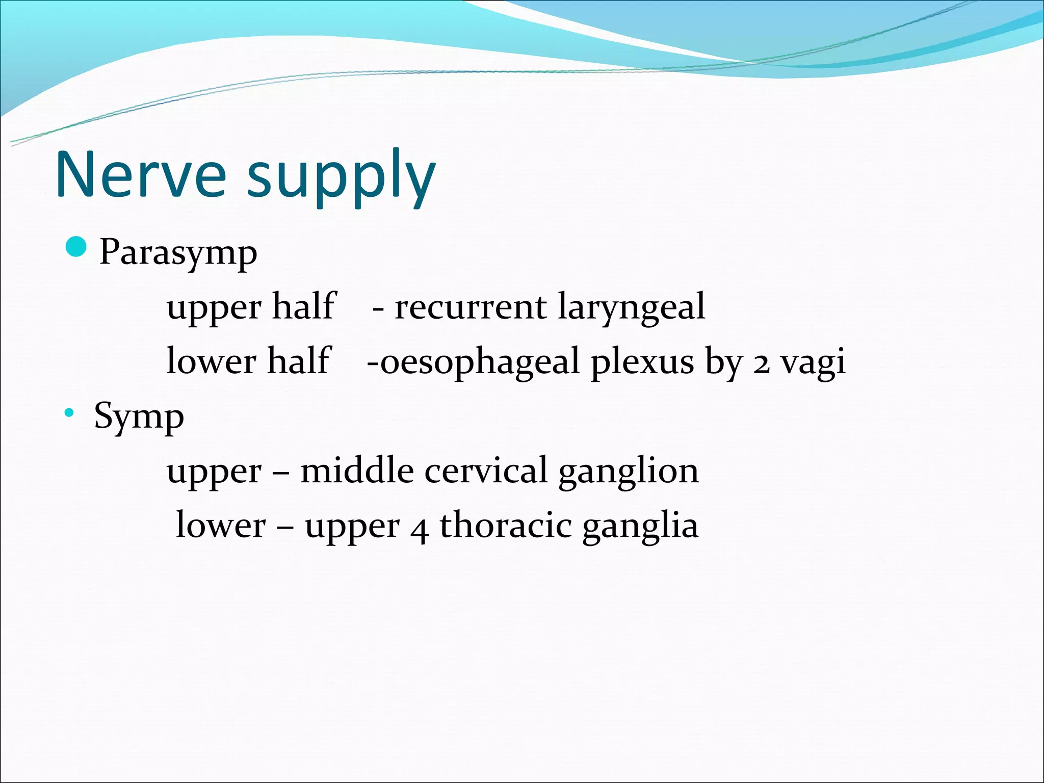 Anatomy of upper gi | PPT