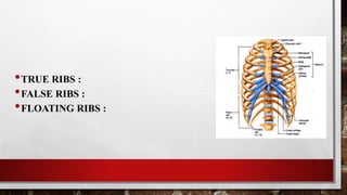 Anatomy of upper limb | PPTX