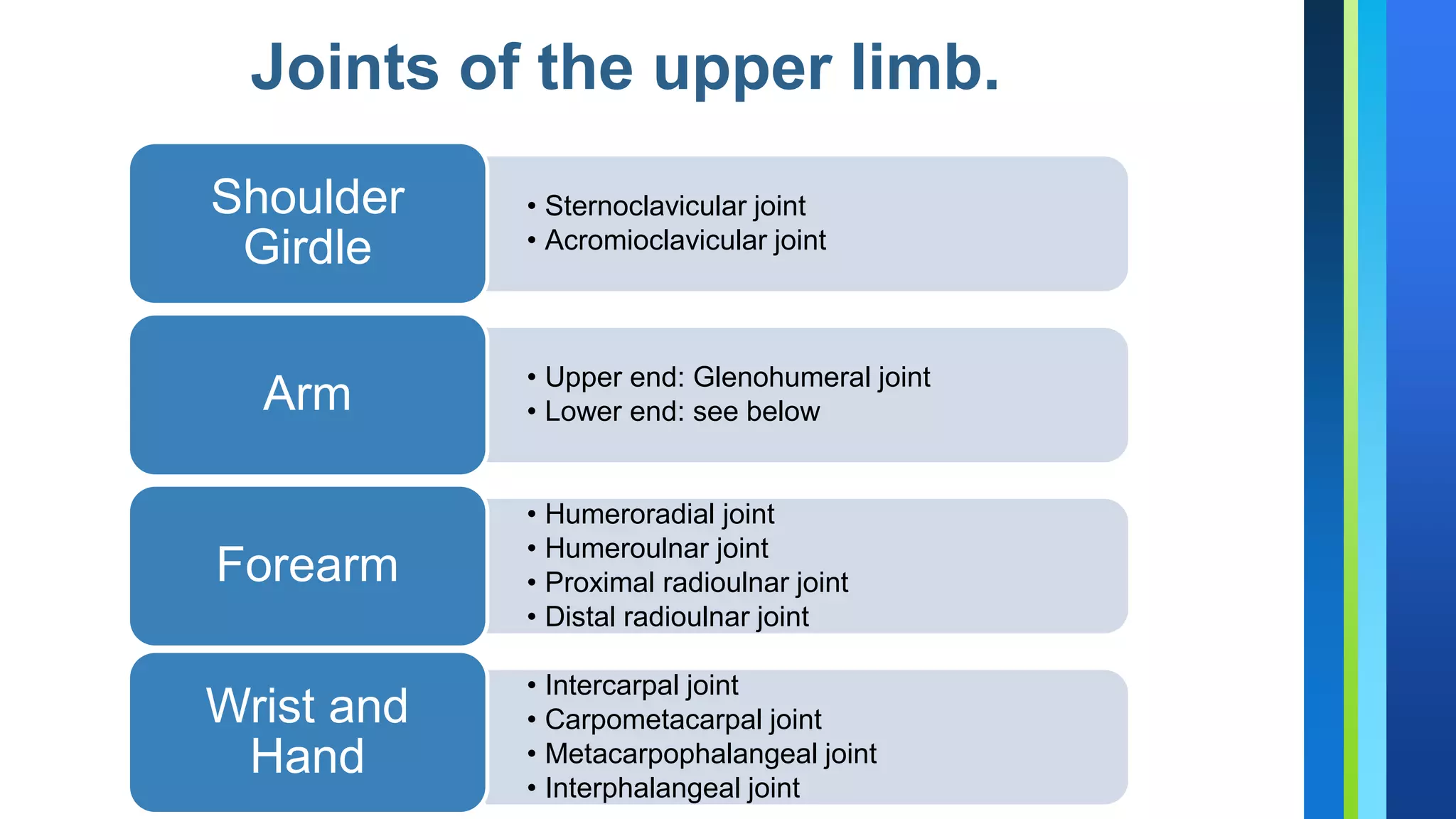 Anatomy of upper limb | PPTX