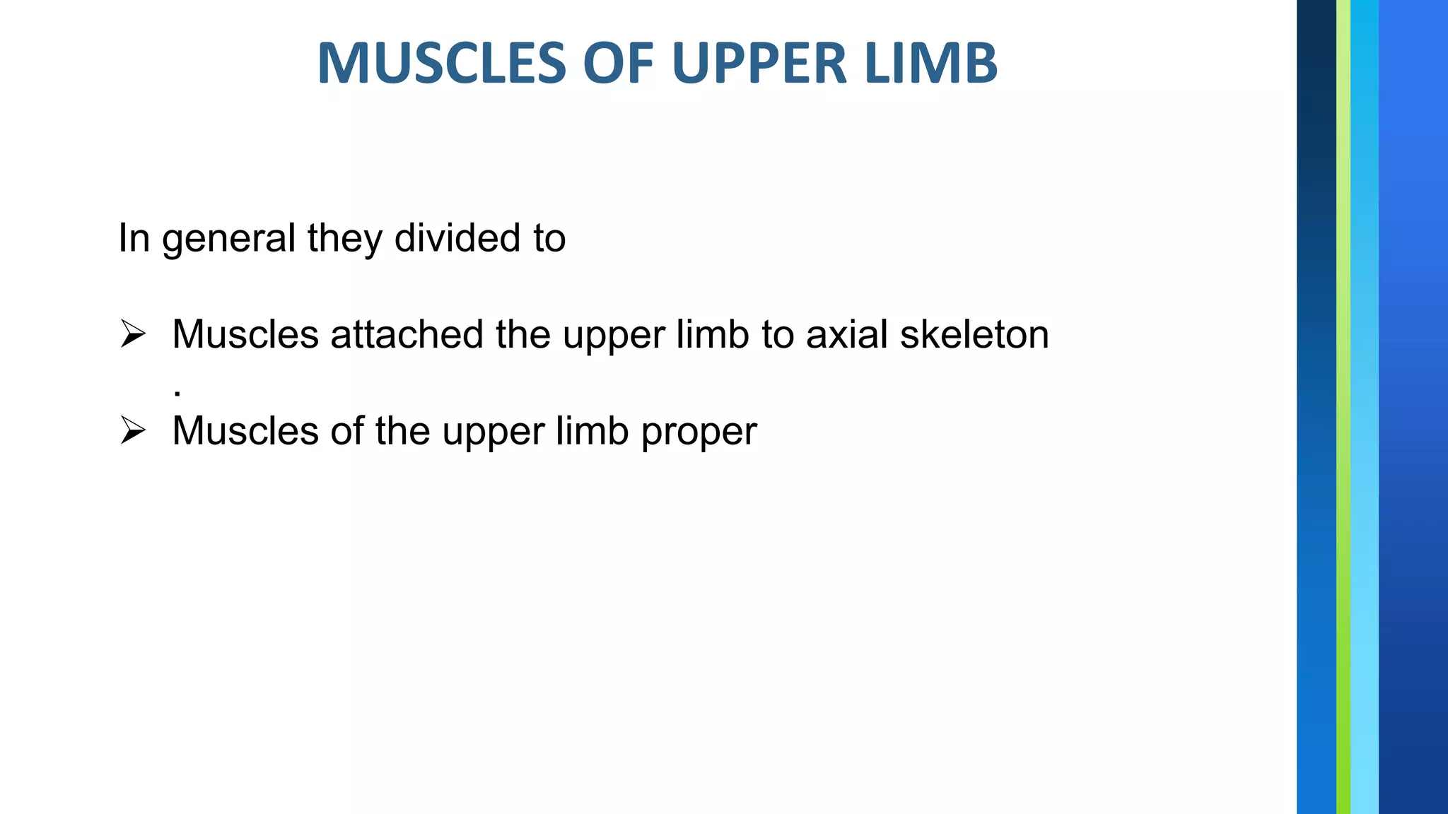 Anatomy of upper limb | PPTX