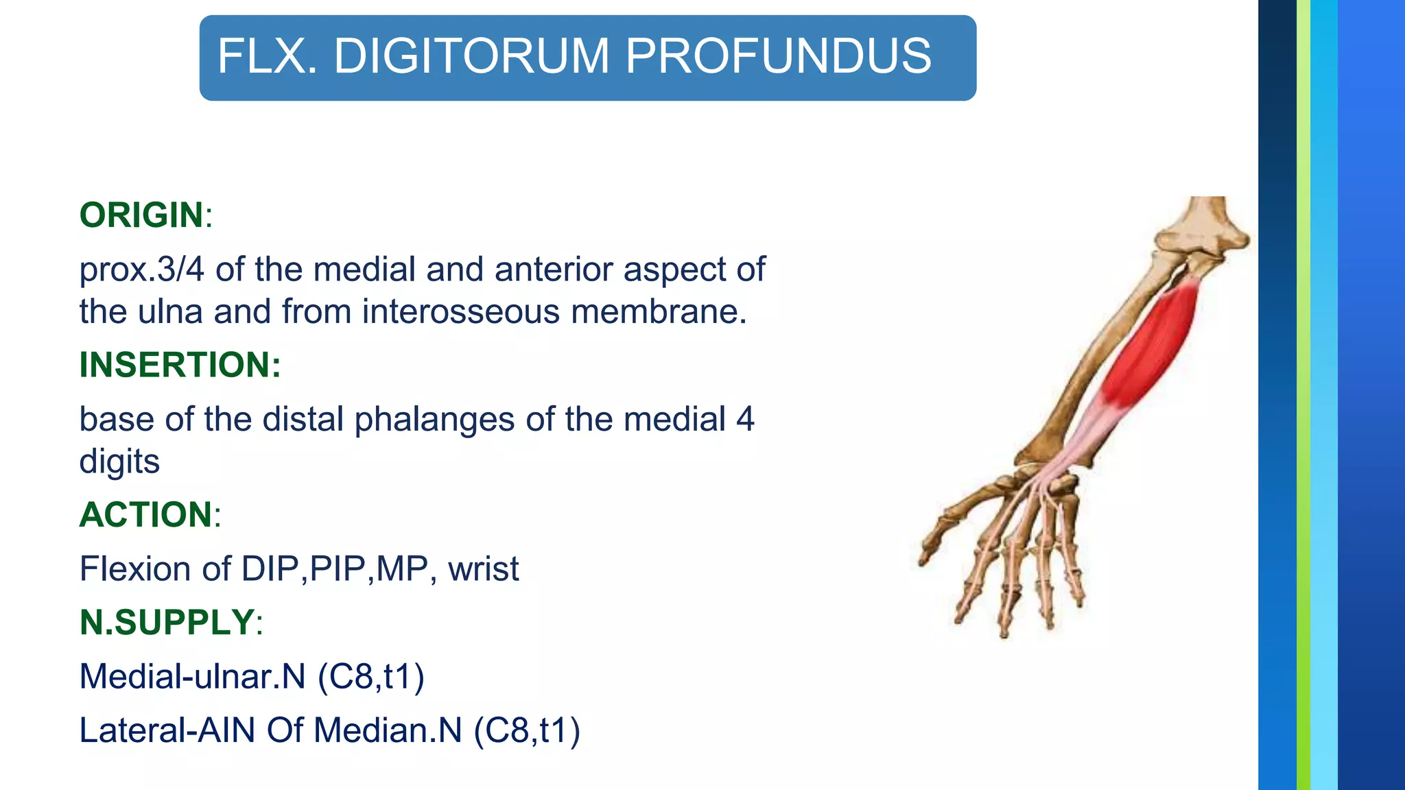 Anatomy of upper limb | PPTX