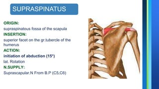 Anatomy of upper limb | PPTX