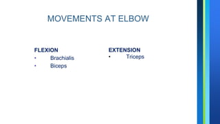 Anatomy of upper limb | PPTX
