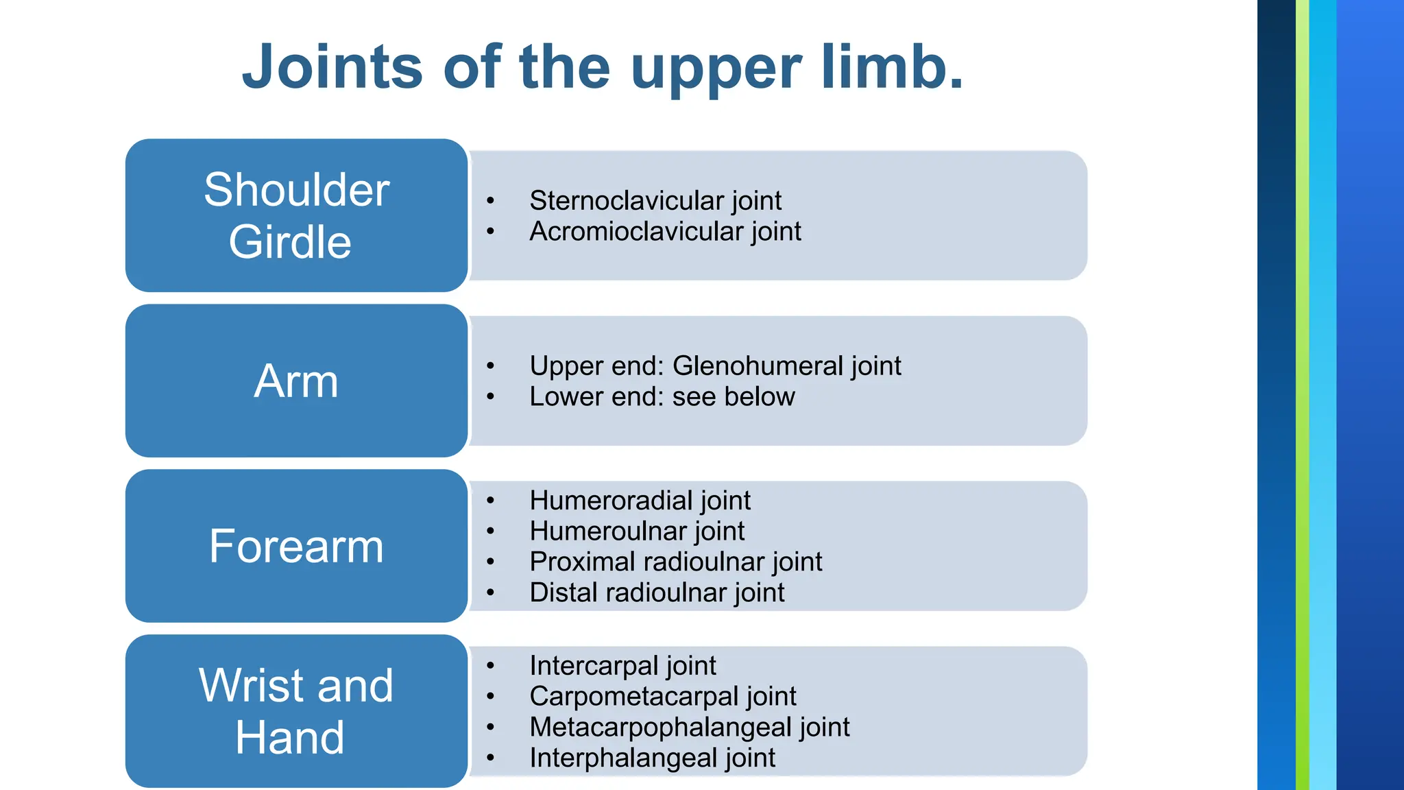 anatomyofupperlimb-180420055830 (1).pptx