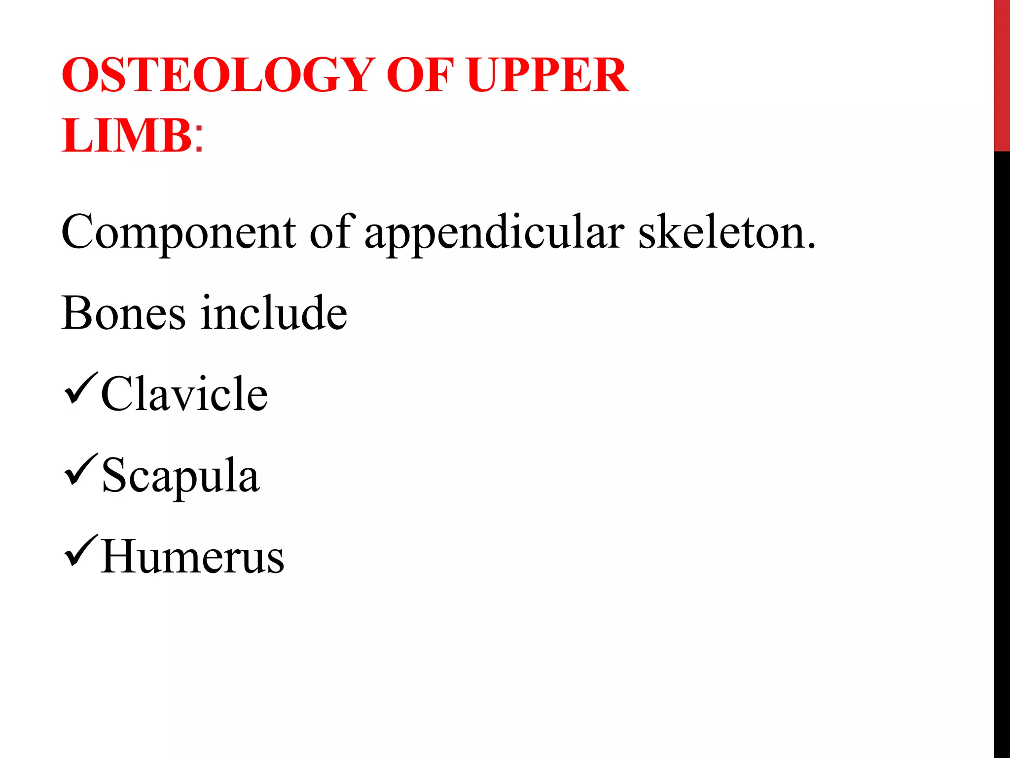 Anatomy of upper limb | PPTX