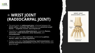 anatomy of upperlimb (wrist joints) Bahare Anjum shaik, ASRHMC | PPTX