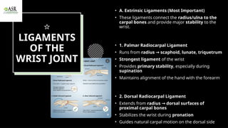 anatomy of upperlimb (wrist joints) Bahare Anjum shaik, ASRHMC | PPTX