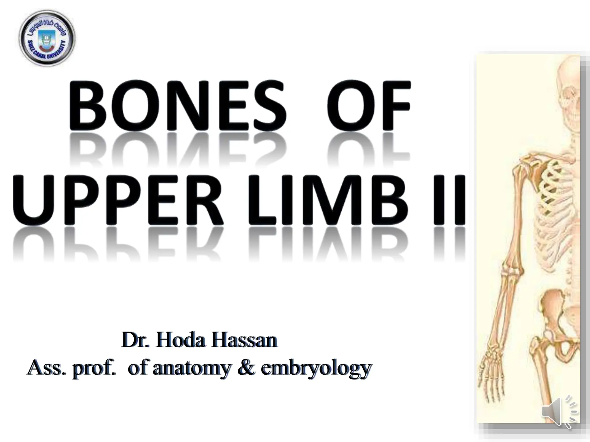 Anatomy of upper limb bones part II 2020.pptx