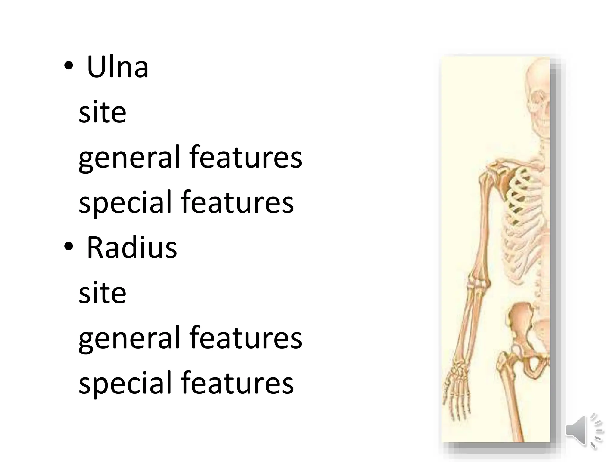 Anatomy of upper limb bones part II 2020.pptx