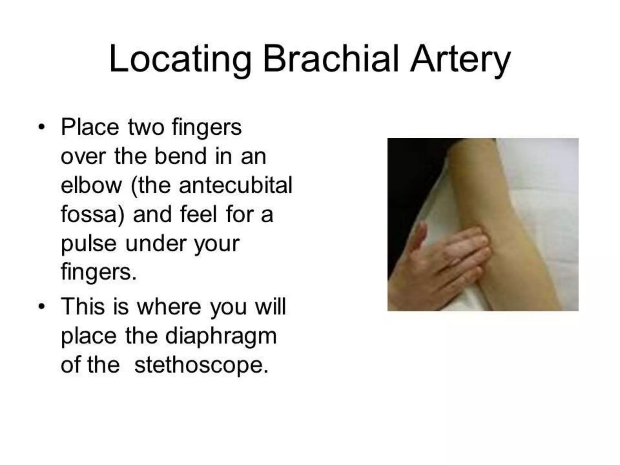 Anatomy of upperlimb front of arm2018 | PPTX