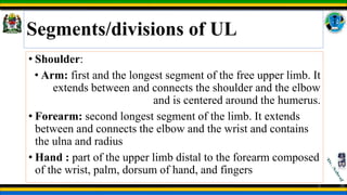 ANATOMY OF UPPER LIMBS.pdf this describes more on the anatomy of the ...
